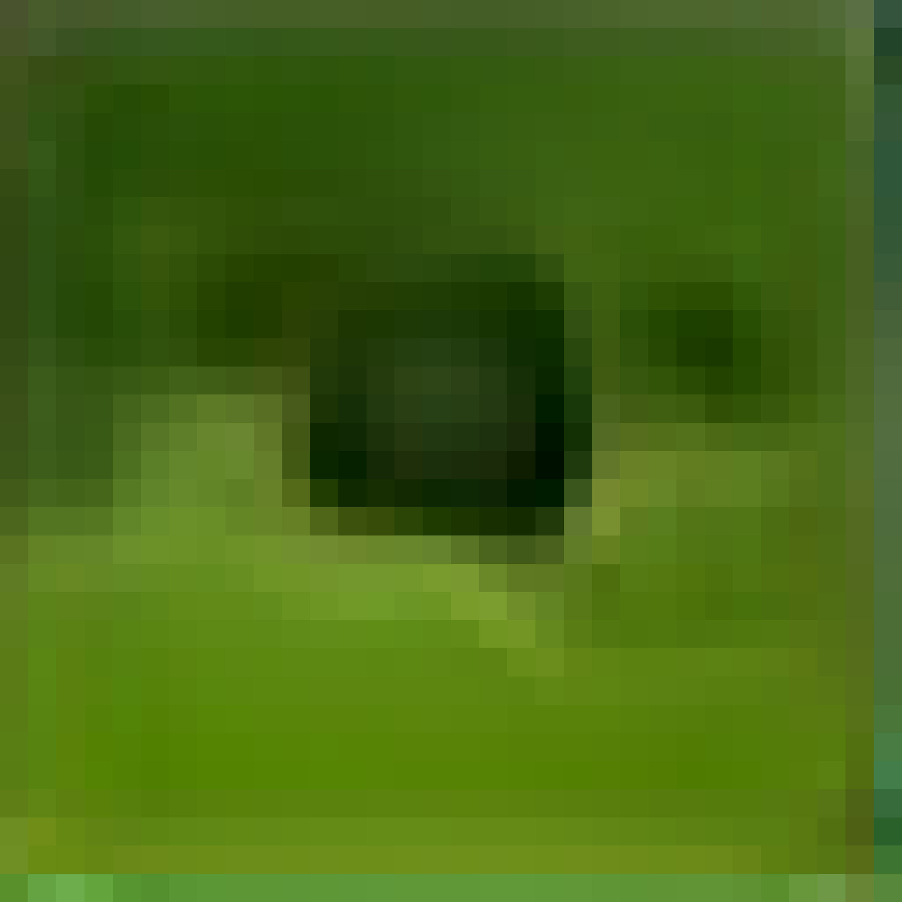 Doopiidoo | daily.xyz | fellowship.xyz